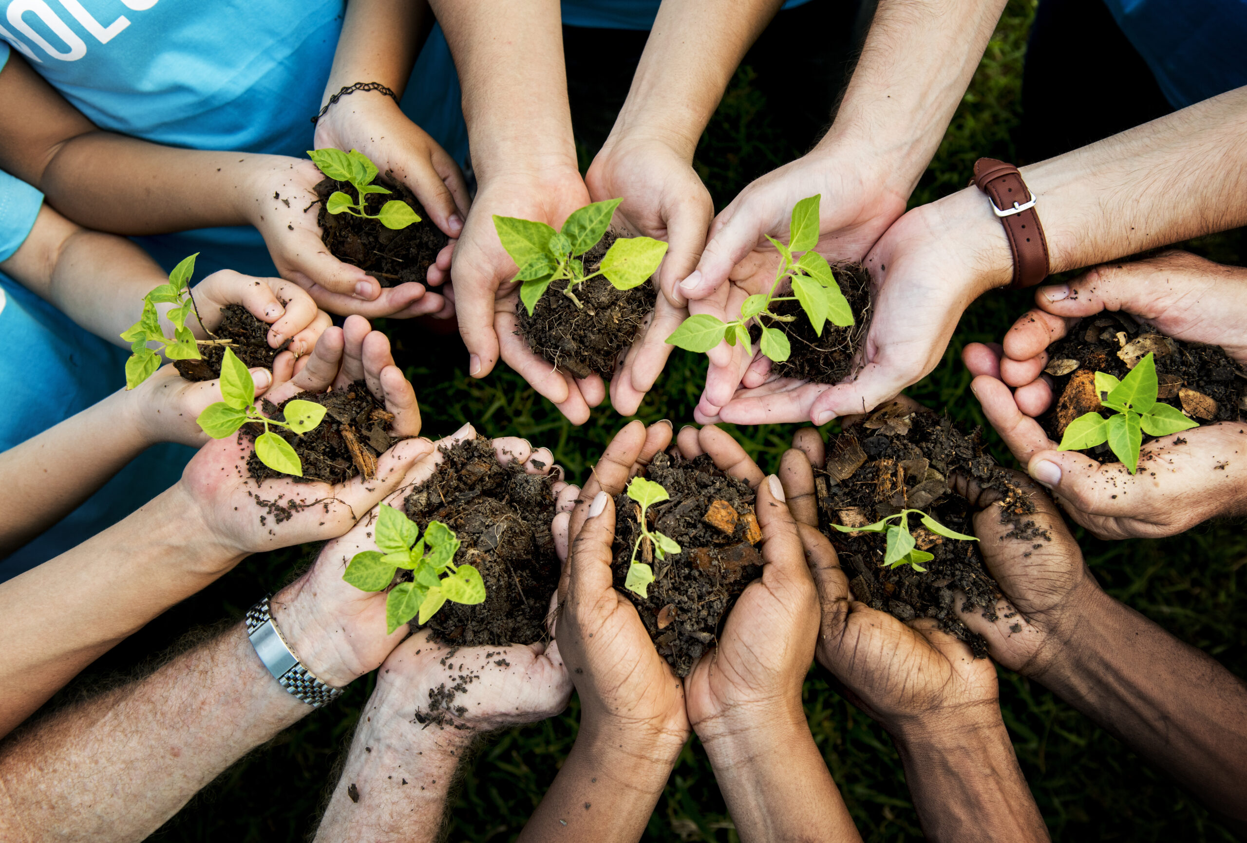 Is Mentorship the Key to Protecting Nature? - Nature Canada