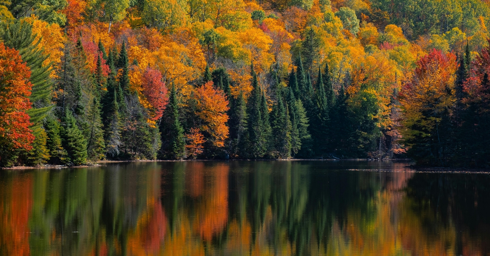 Statement: Nature Canada Reacts to Budget 2025 - Nature Canada