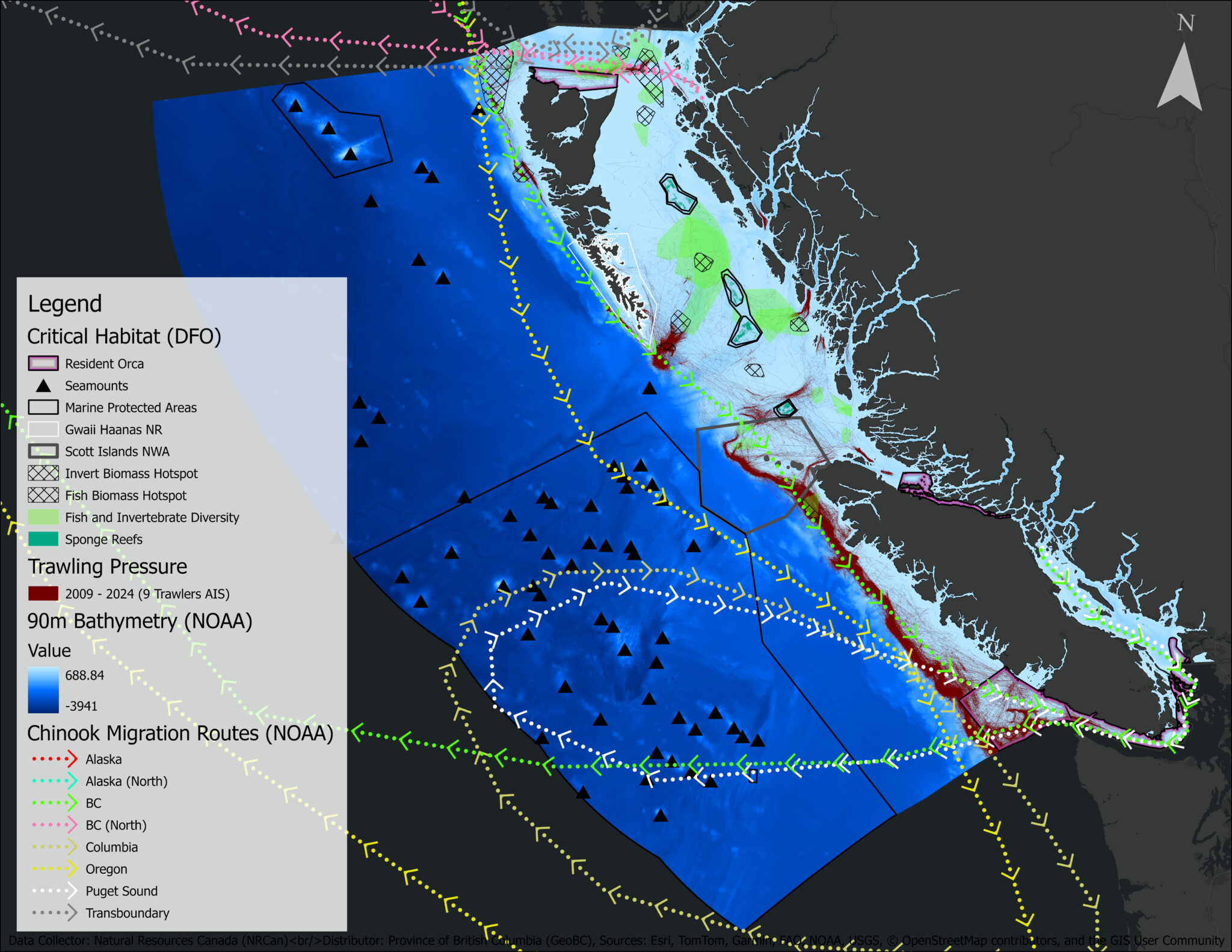 How Trawling Is Dragging Our Oceans to the Brink - Nature Canada
