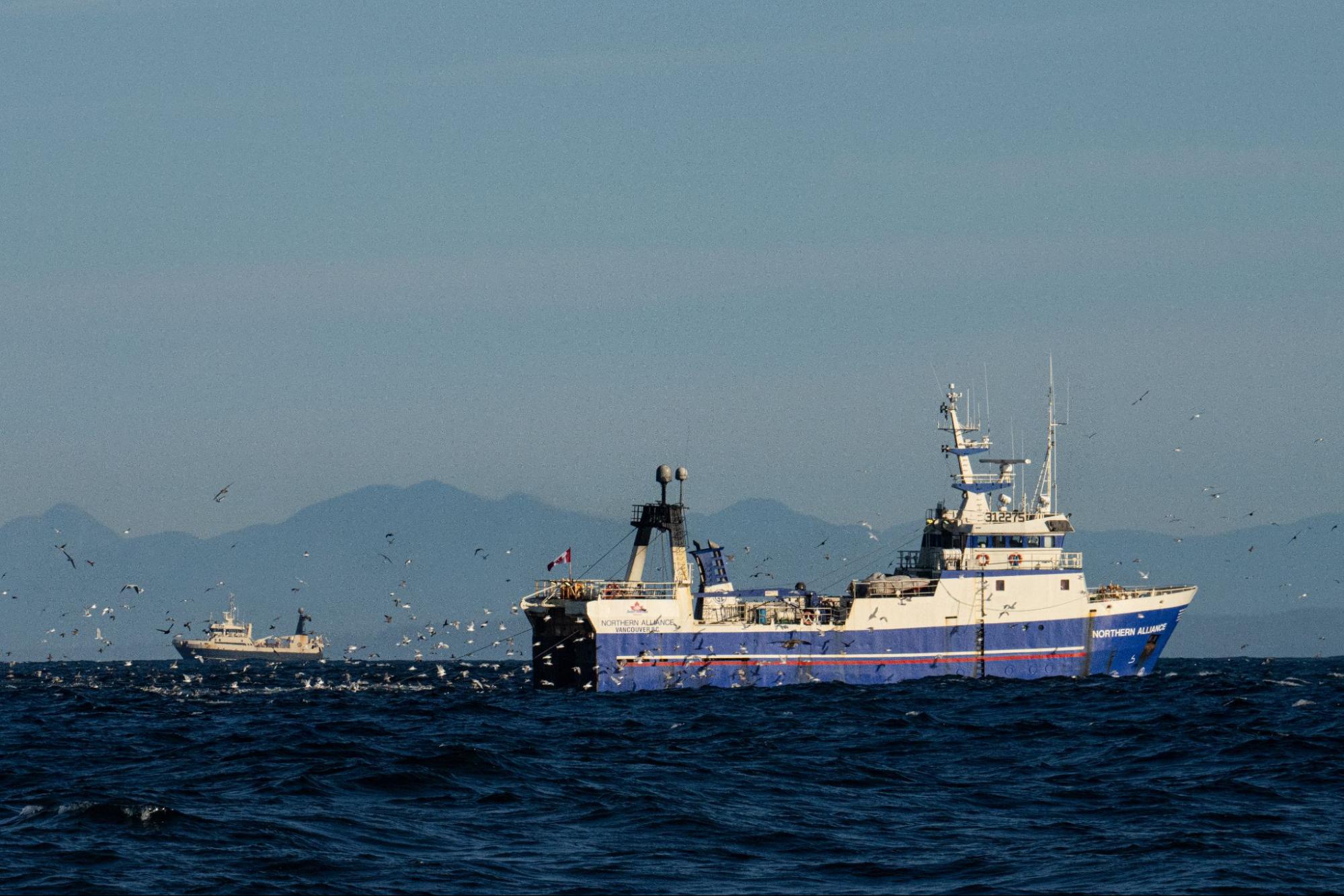 How Trawling Is Dragging Our Oceans to the Brink - Nature Canada