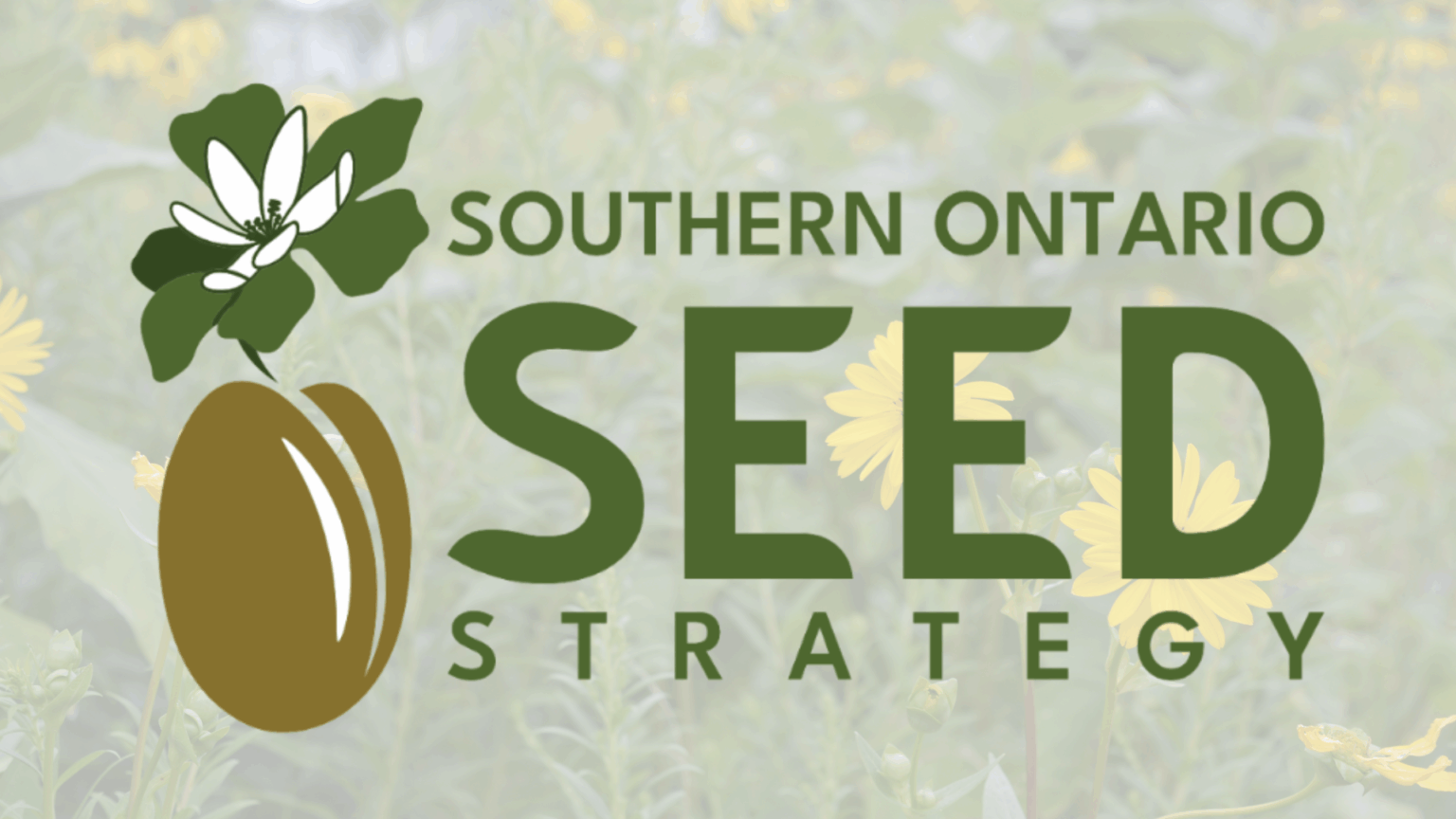 Grow Bird Friendly Habitat with Native Seed and Plant Partnerships ...