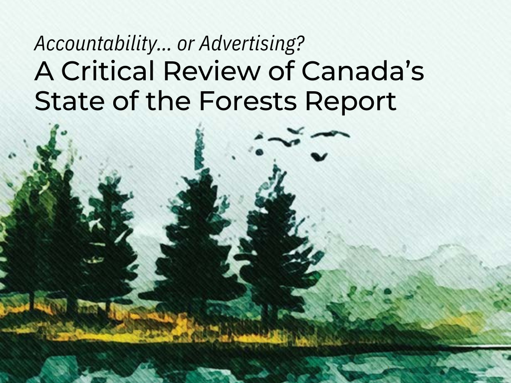 Protect and Restore Canada’s Great Forests - Nature Canada